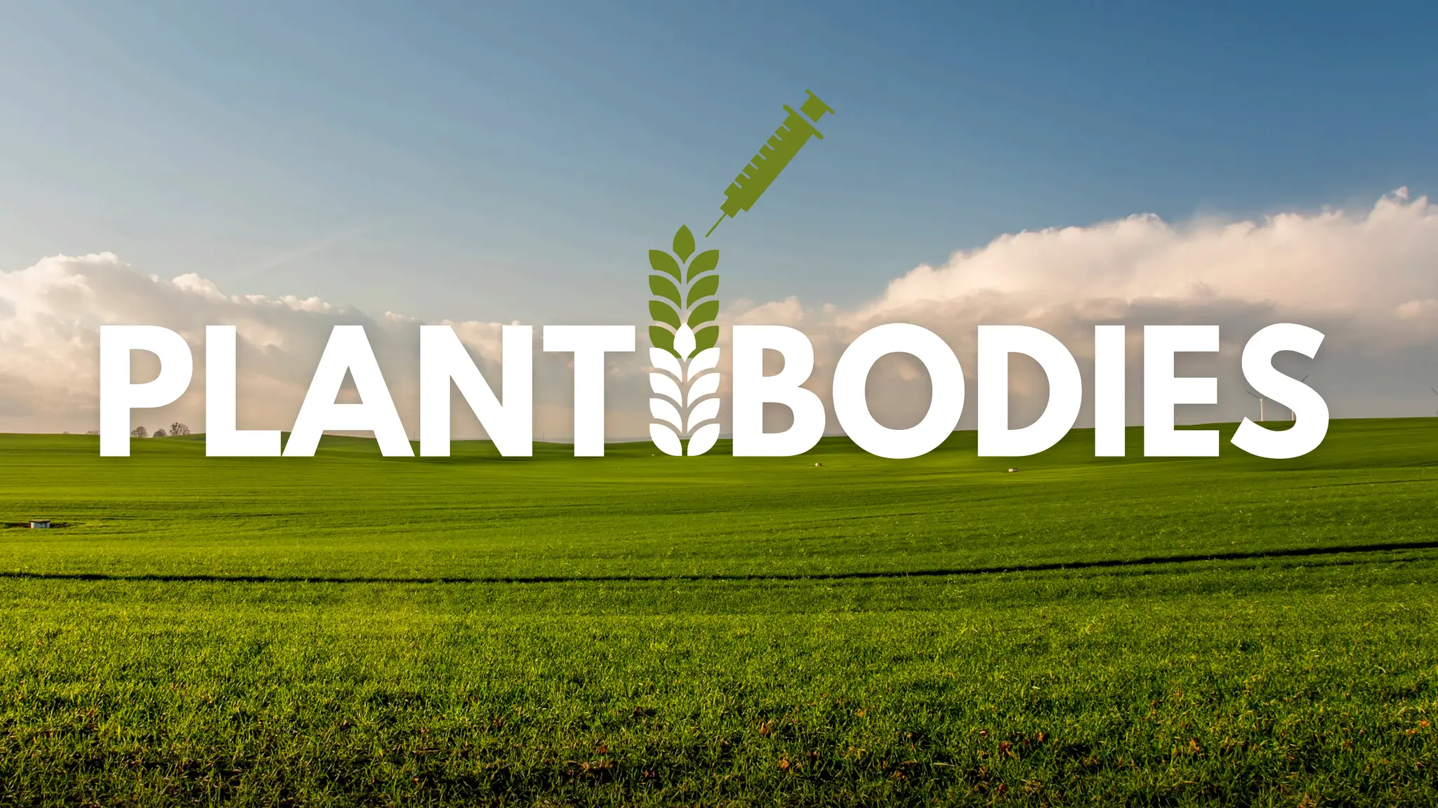PLANTIBODIES , PLANTIBODY PRODUCTION AND ITS APPLICATION | PDF