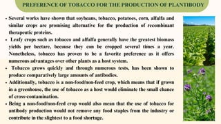 PLANTIBODIES , PLANTIBODY PRODUCTION AND ITS APPLICATION | PDF