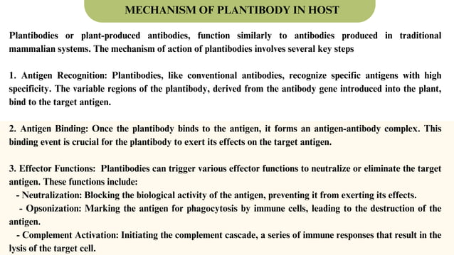 PLANTIBODIES , PLANTIBODY PRODUCTION AND ITS APPLICATION | PDF ...