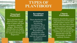PLANTIBODIES , PLANTIBODY PRODUCTION AND ITS APPLICATION | PDF