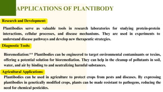 PLANTIBODIES , PLANTIBODY PRODUCTION AND ITS APPLICATION | PDF