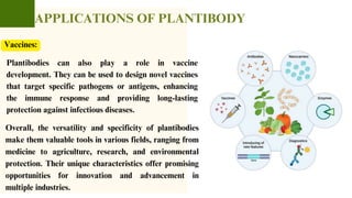 PLANTIBODIES , PLANTIBODY PRODUCTION AND ITS APPLICATION | PDF