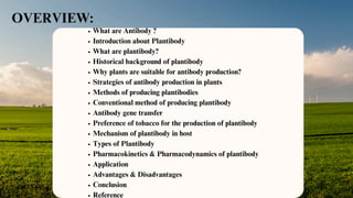 PLANTIBODIES , PLANTIBODY PRODUCTION AND ITS APPLICATION | PDF