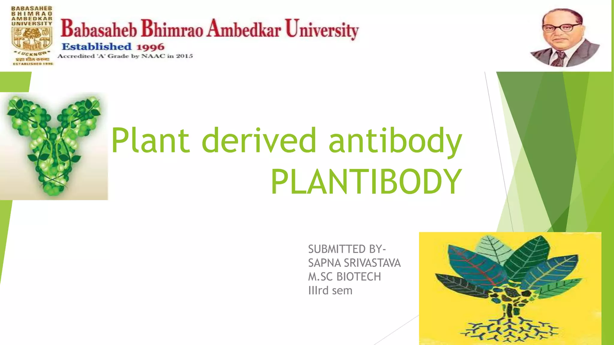 Plantibody final | PPTX
