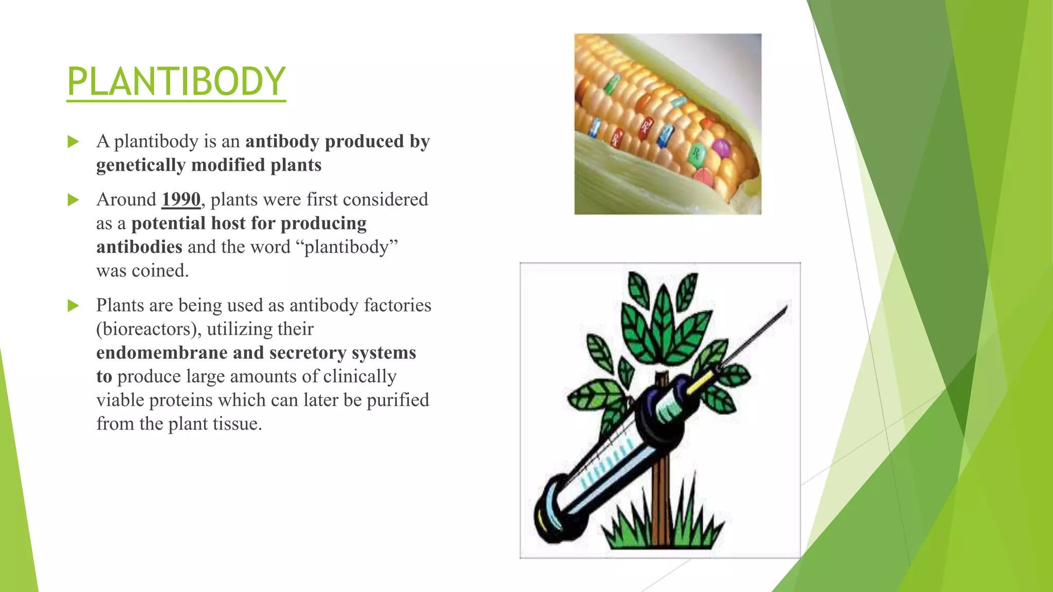 Plantibody final | PPTX