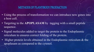 Plantibody in human and animal healthy by GOUTAM | PPTX