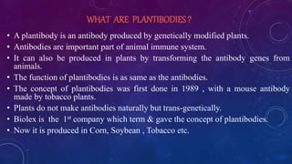 Plantibody in human and animal healthy by GOUTAM | PPTX