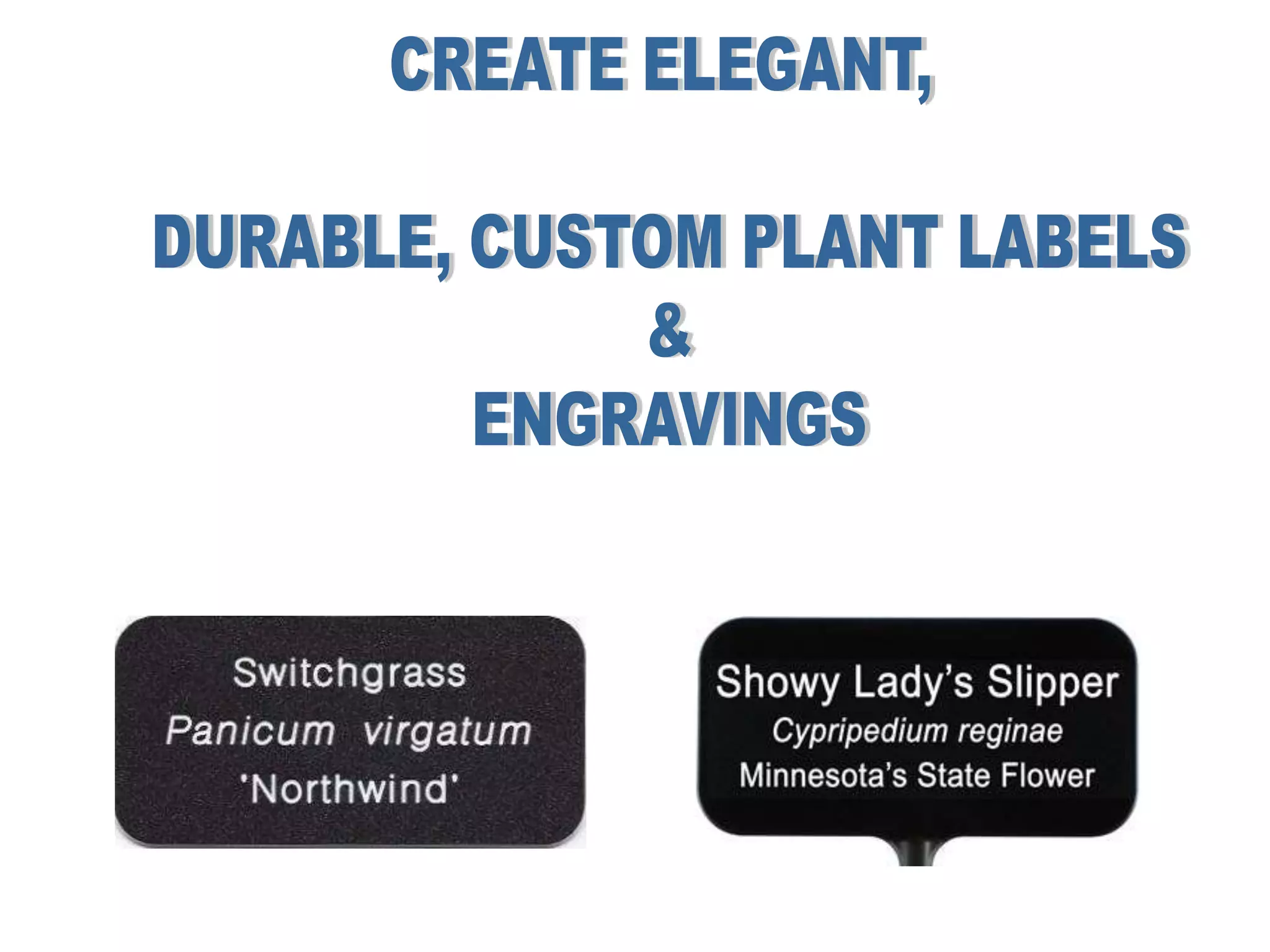 Plant identification and labels for garden plants | PPT