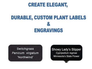 Plant identification and labels for garden plants | PPT
