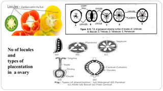 Plant identification taxonomy key characters | PPT