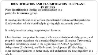 Plant identification taxonomy key characters | PPT