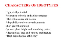 Plant Ideotypes and Its Role in Vegetable Breeding.pptx