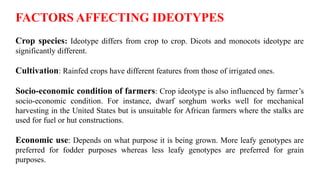 Plant Ideotypes and Its Role in Vegetable Breeding.pptx
