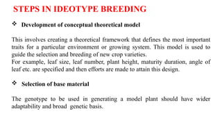 Plant Ideotypes and Its Role in Vegetable Breeding.pptx