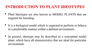 Plant Ideotypes and Its Role in Vegetable Breeding.pptx