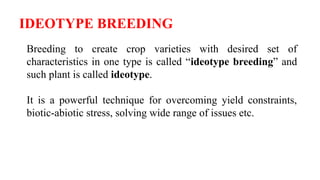 Plant Ideotypes and Its Role in Vegetable Breeding.pptx