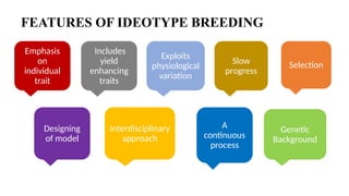 Plant Ideotypes and Its Role in Vegetable Breeding.pptx
