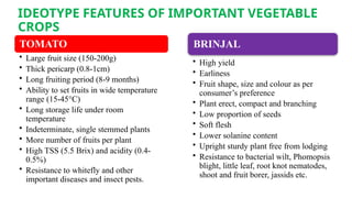 Plant Ideotypes and Its Role in Vegetable Breeding.pptx