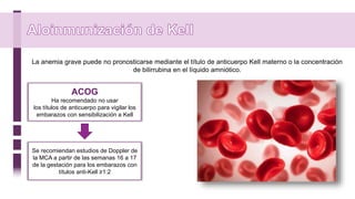 Isoinmunización materno fetal | PPTX