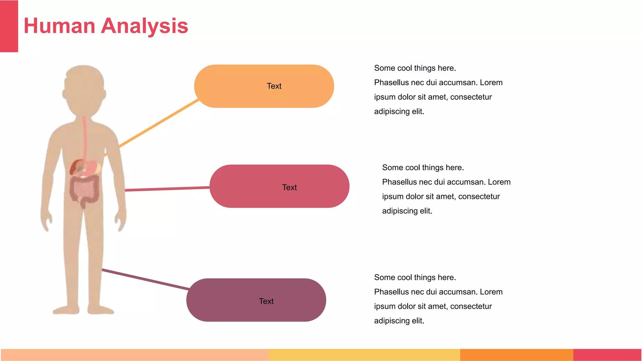 plantilla-de-powerpoint-de-anatomia.pptx