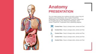 plantilla-de-powerpoint-de-anatomia.pptx