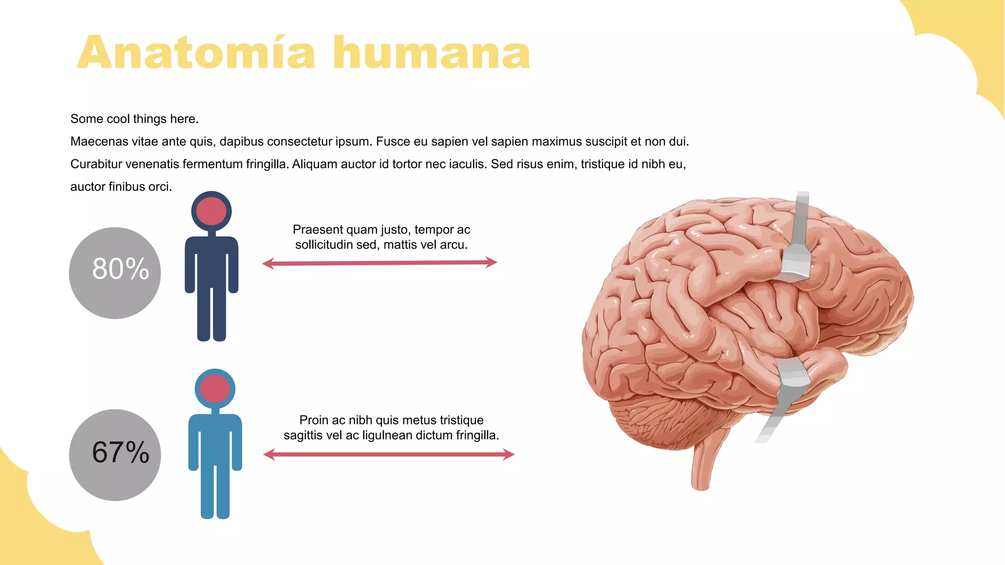 plantilla-de-powerpoint-sistema-nervioso.pptx