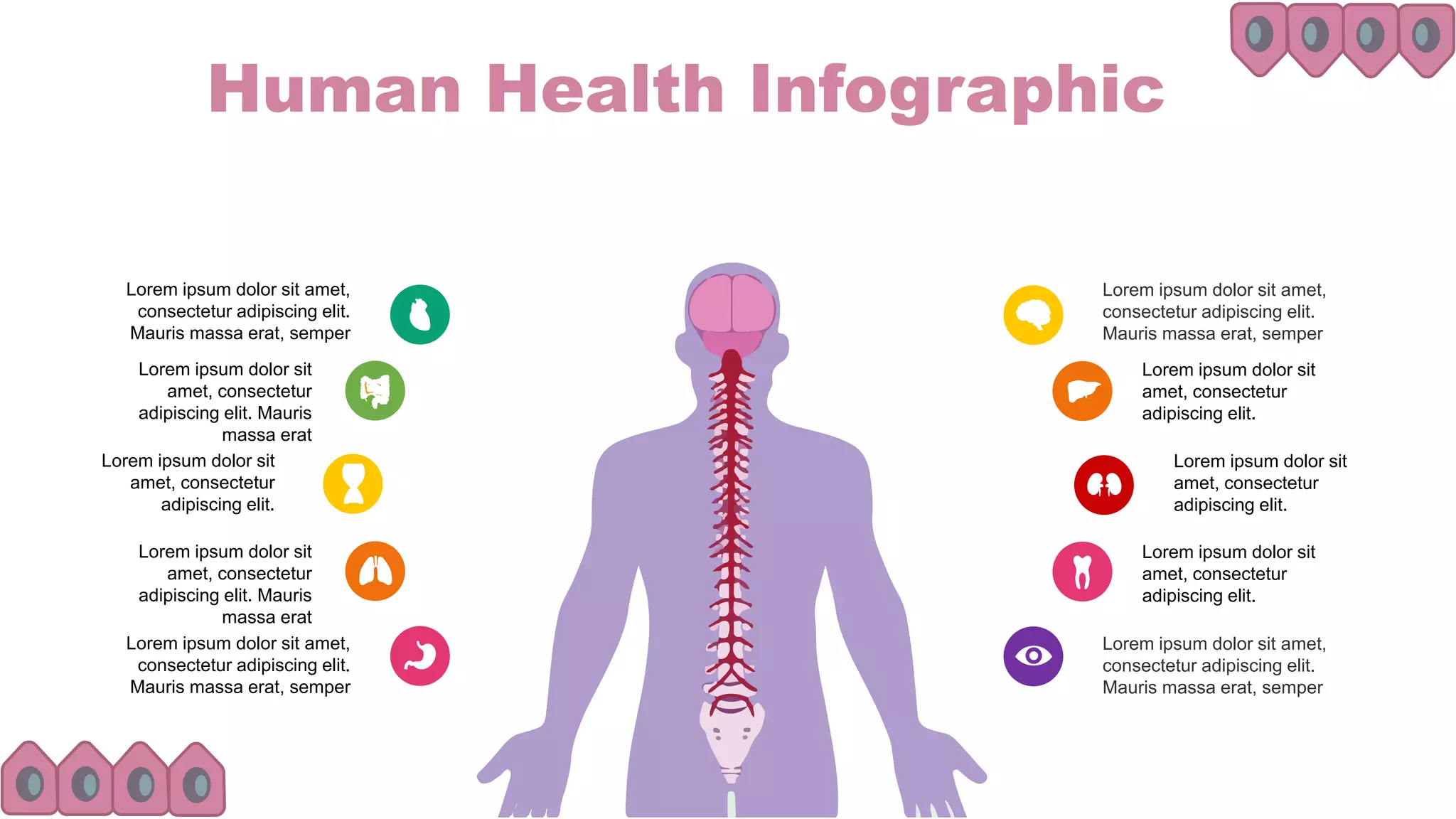 plantilla-de-powerpoint-sistema-nervioso.pptx