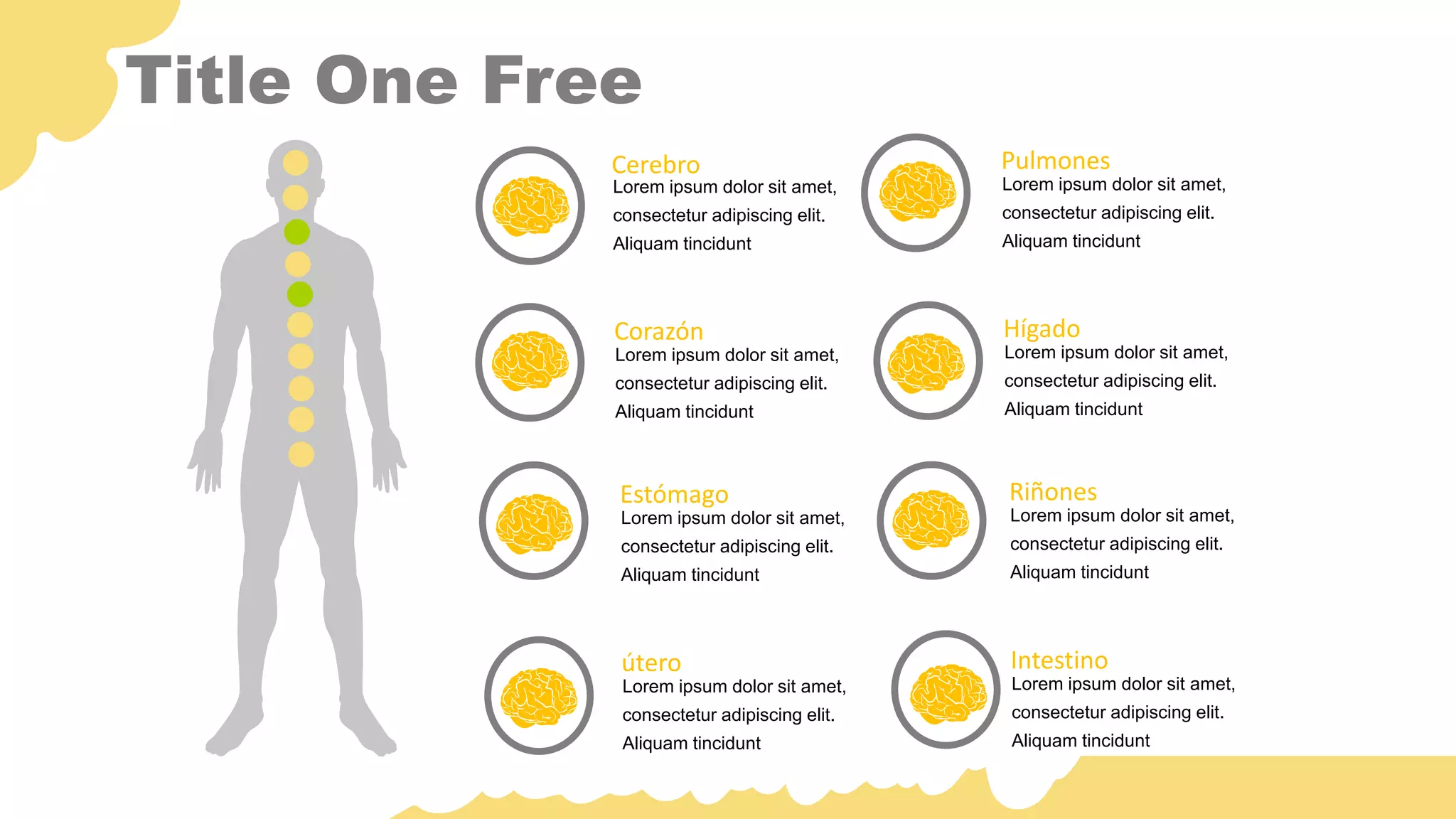 plantilla-de-powerpoint-sistema-nervioso.pptx