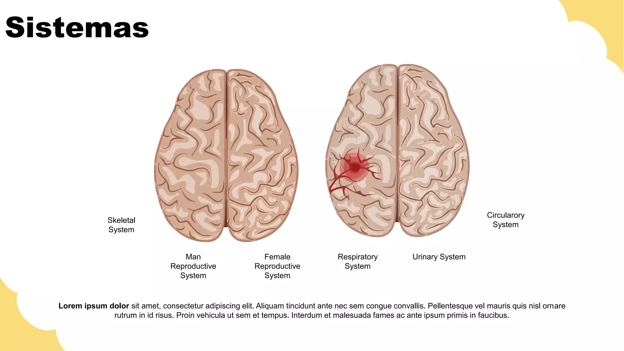 plantilla-de-powerpoint-sistema-nervioso.pptx
