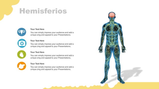 plantilla-de-powerpoint-sistema-nervioso.pptx