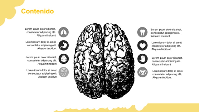 plantilla-de-powerpoint-sistema-nervioso.pptx