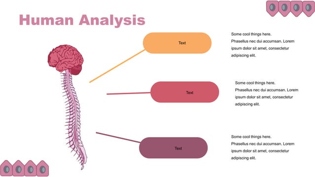 plantilla-de-powerpoint-sistema-nervioso.pptx