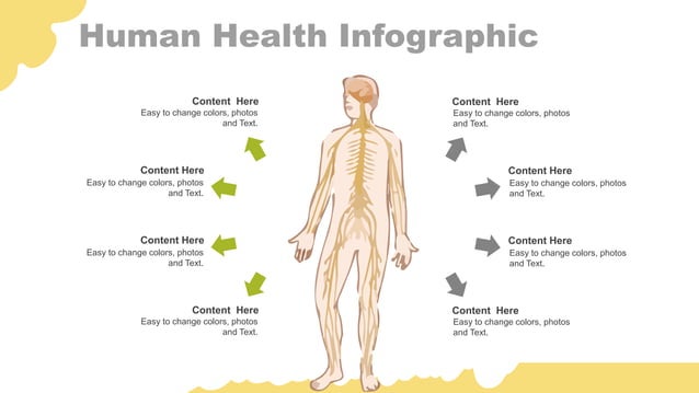 plantilla-de-powerpoint-sistema-nervioso.pptx