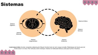 plantilla-de-powerpoint-sistema-nervioso.pptx
