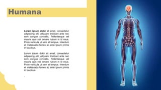 plantilla-de-powerpoint-sistema-nervioso.pptx