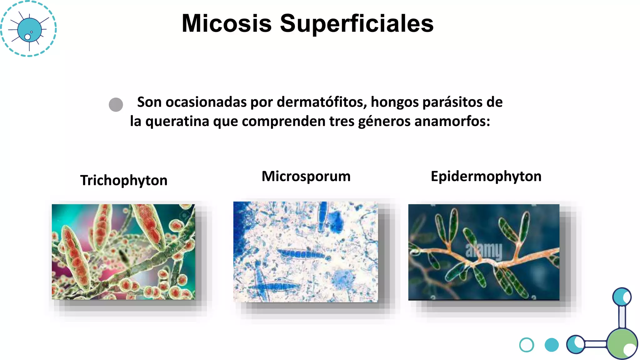 Plantilla-Powerpoint-de-Microbiologia.pptx