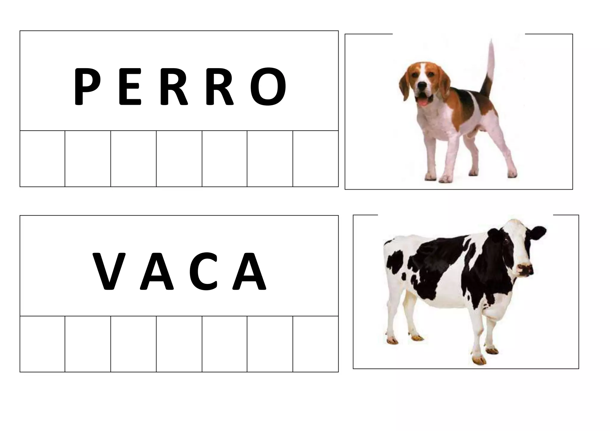 Plantilla formar palabras | PPT