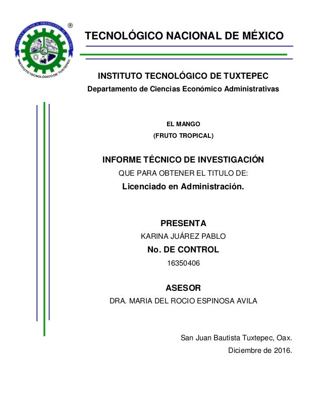 Plantilla informe tecnico ige
