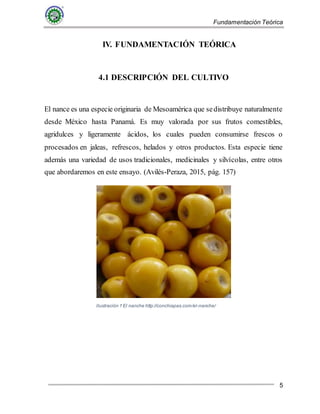 EL NANCHE | DOCX