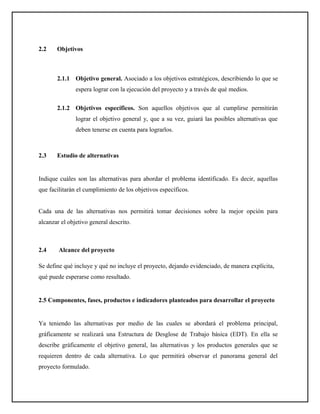 Plantilla para la formulacion de proyecto | DOC