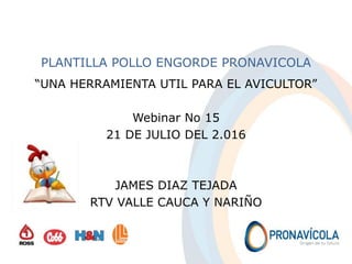 Plantilla Herramienta Pollo Engorde Pronavicola | PDF