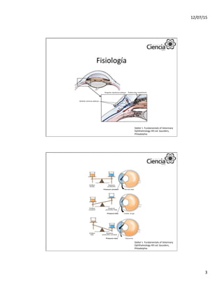 Plantilla programa ciencia. glaucomoa | PDF | Eye and Vision Conditions ...
