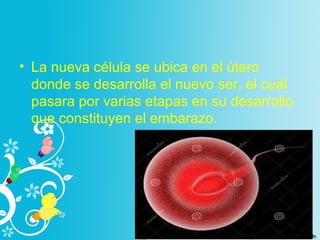Proceso de Reproduccion Humana | PPT