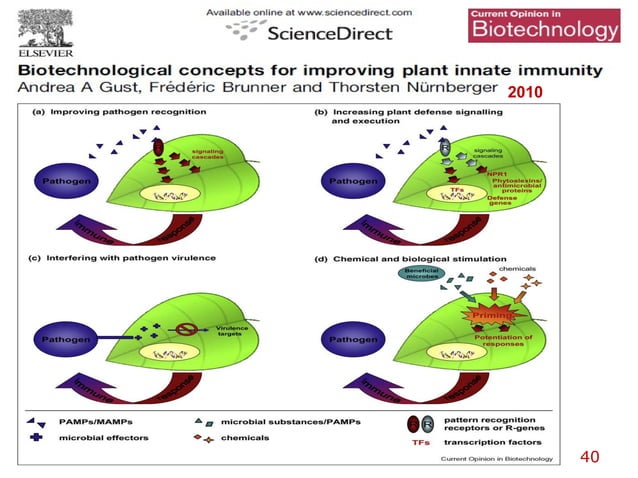 Plant immune system | PPT | Gardening | Home & Garden