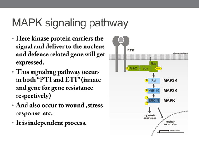 Plant immunity and Plant -Pathogen interactions (made easy) | PDF ...