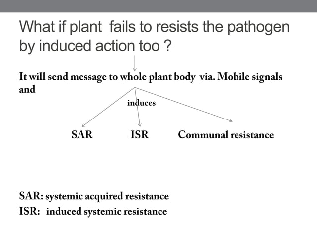 Plant immunity and Plant -Pathogen interactions (made easy) | PDF ...
