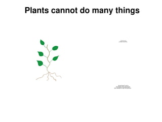 plant pathogens and disease resistance lecture.ppt