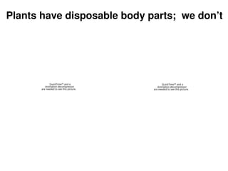 plant pathogens and disease resistance lecture.ppt