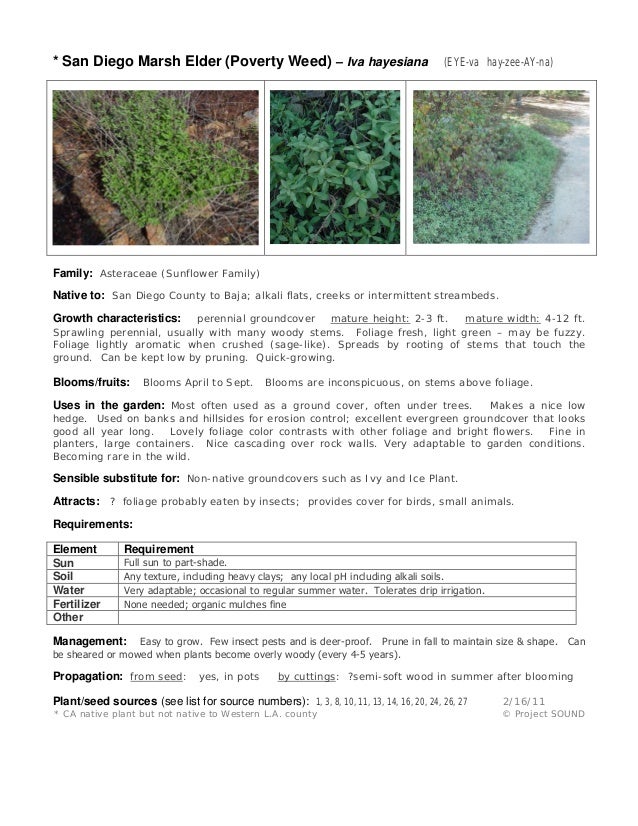 Plant Info Sheets Herps plant-info-sheets-herps