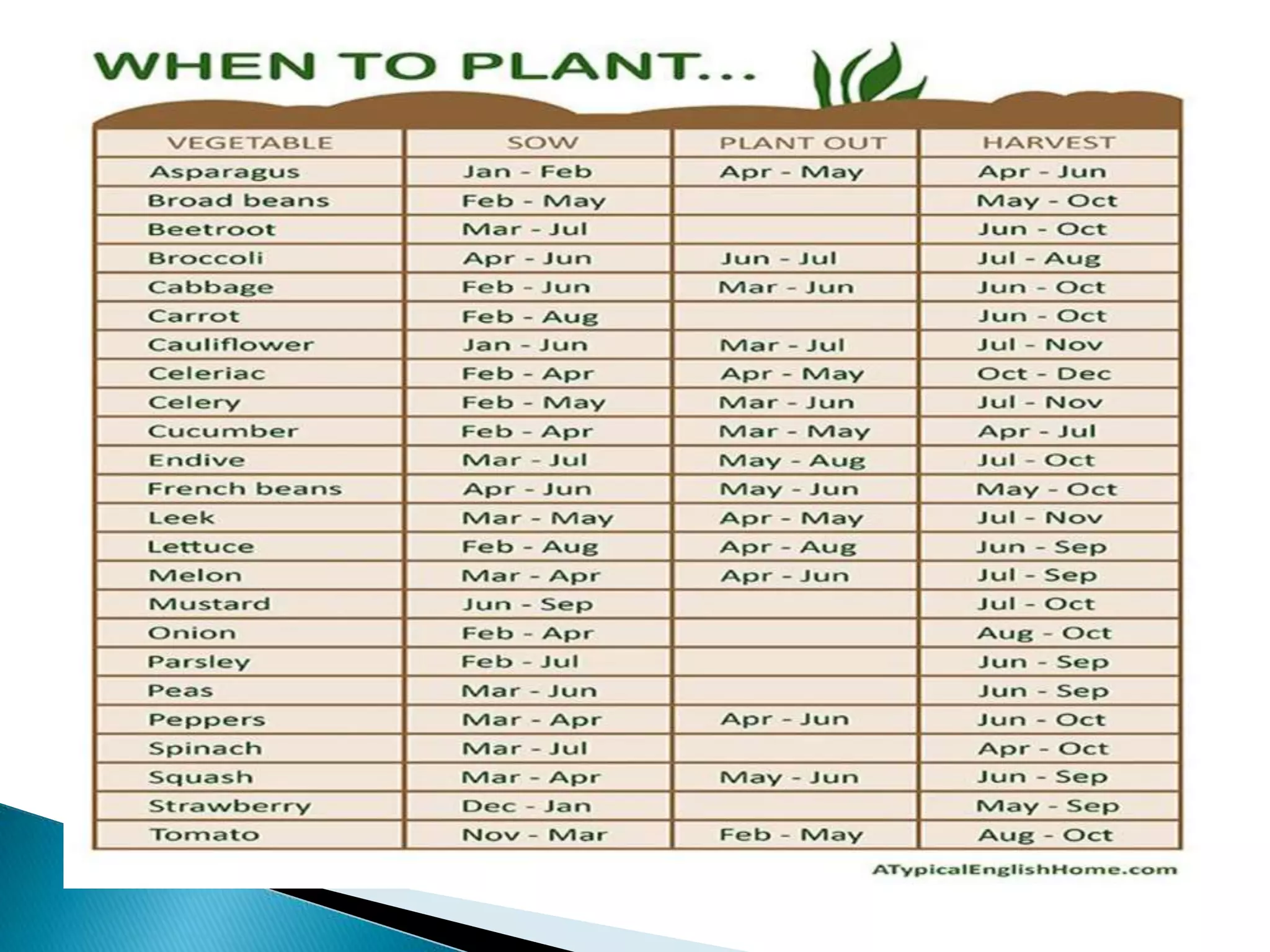 Planting-Systems.pptx